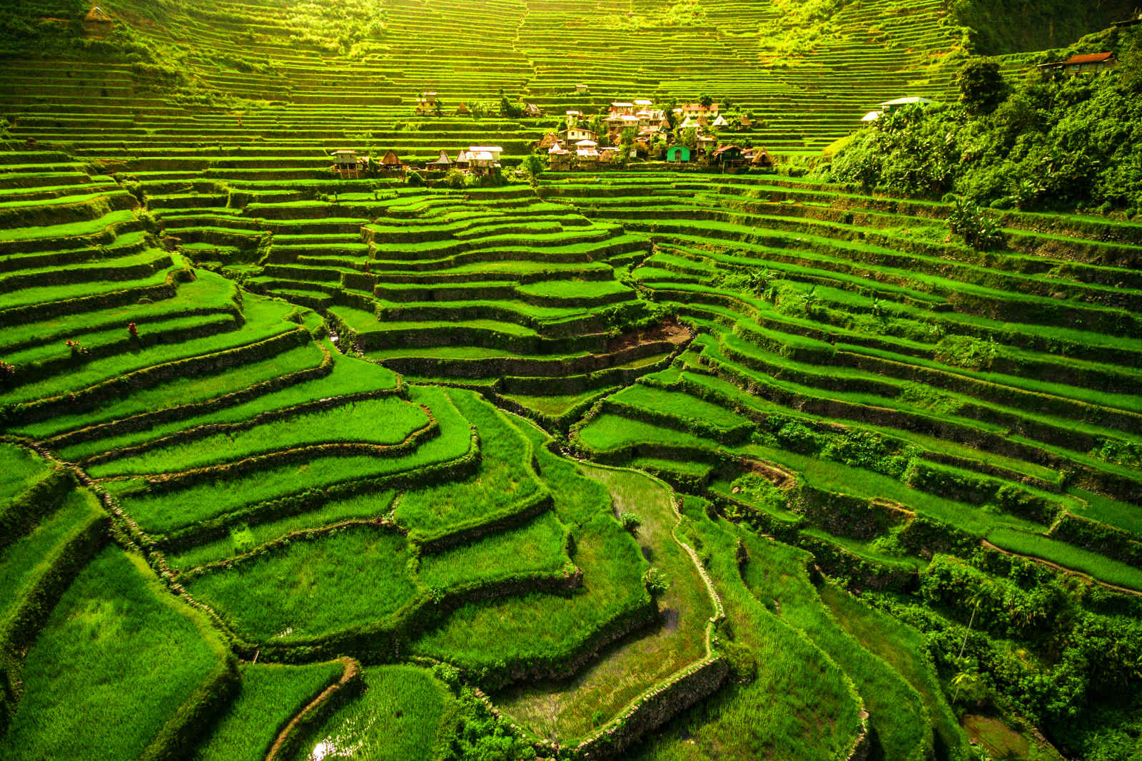 Banaue, idée de voyage sur mesure | Les Ateliers du Voyage